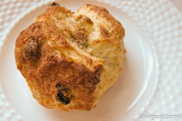 Sultana Scones – ShirlGard