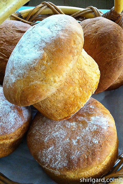 Sally Lunn Buns – ShirlGard
