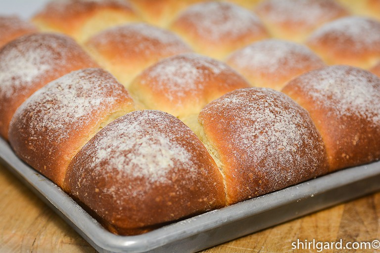 Sally Lunn Buns – ShirlGard