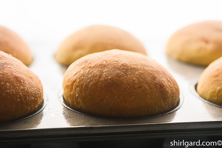 Sally Lunn Buns – ShirlGard