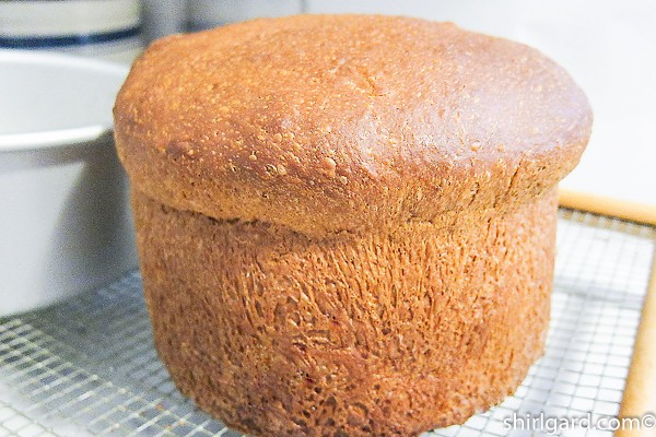 Sally Lunn Buns – ShirlGard