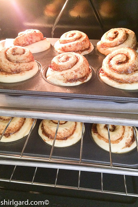 Sally Lunn Cinnamon Buns – ShirlGard