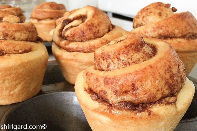 Sally Lunn Cinnamon Buns – ShirlGard