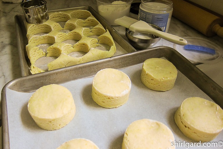 Biscuit-Style Strawberry Shortcakes – ShirlGard