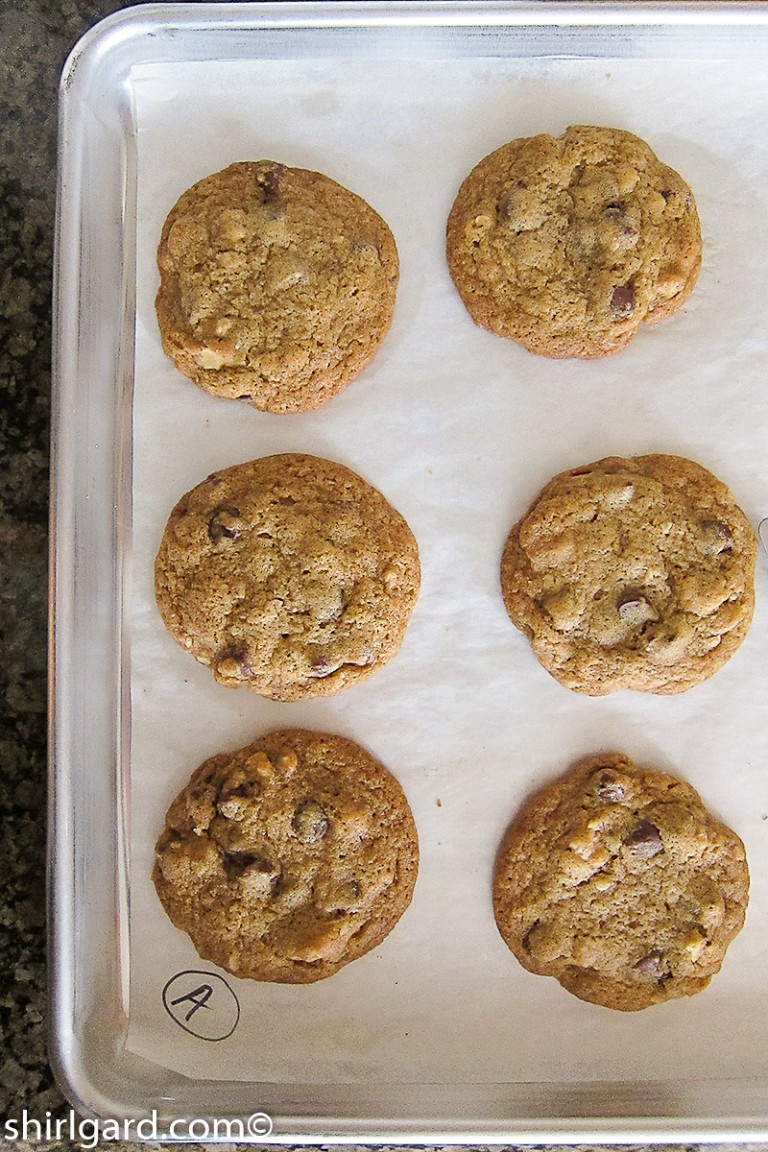 Chocolate Chip Cookies with Coconut Oil – ShirlGard
